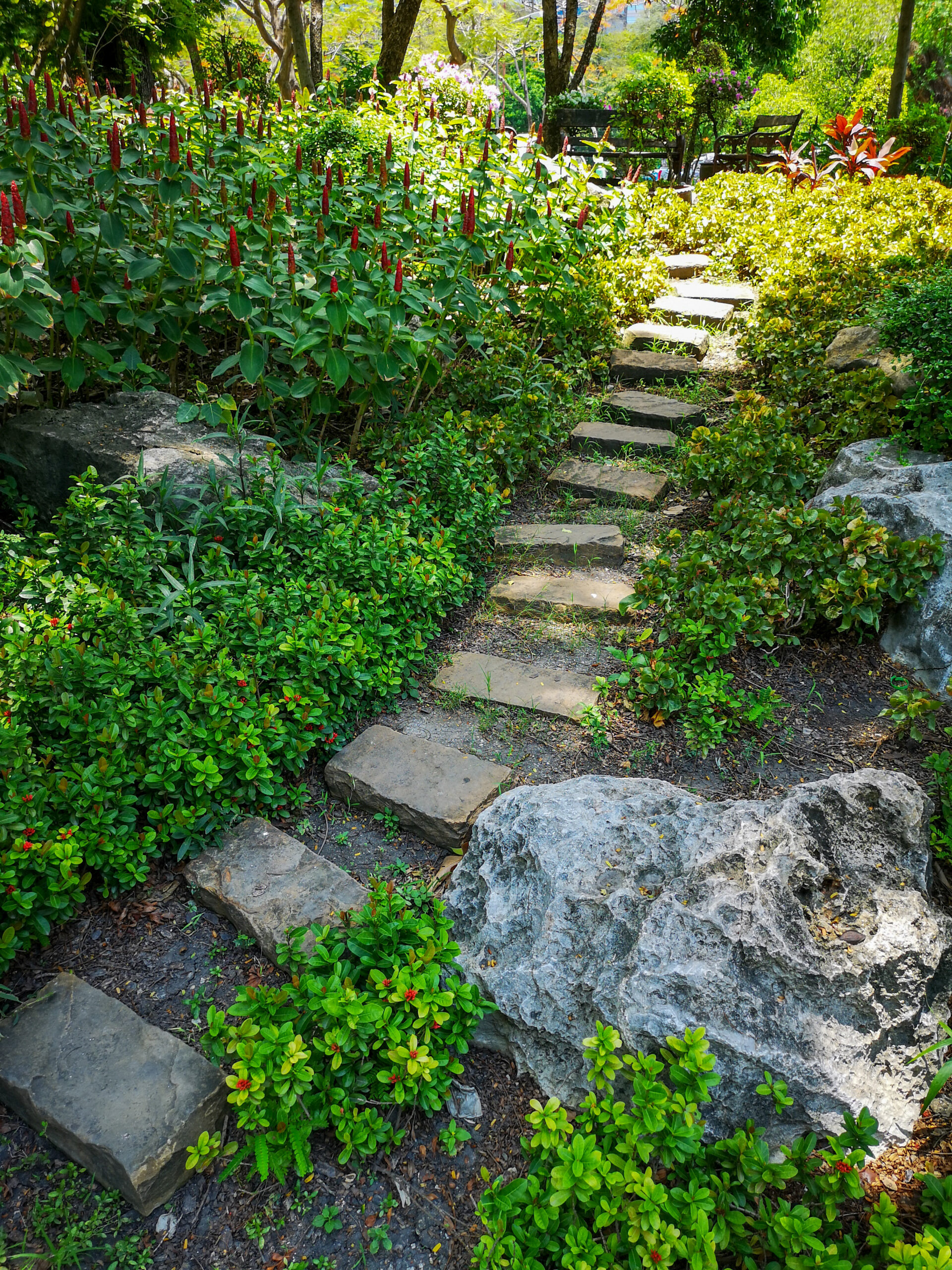 Mapia - Mapia Landscaping